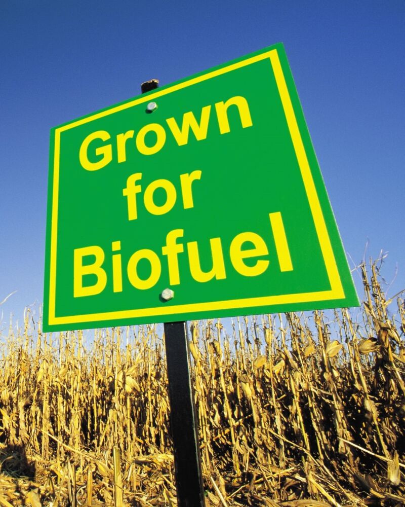 Ethanol: Understanding Renewable Fuel Options – Major Energies ...